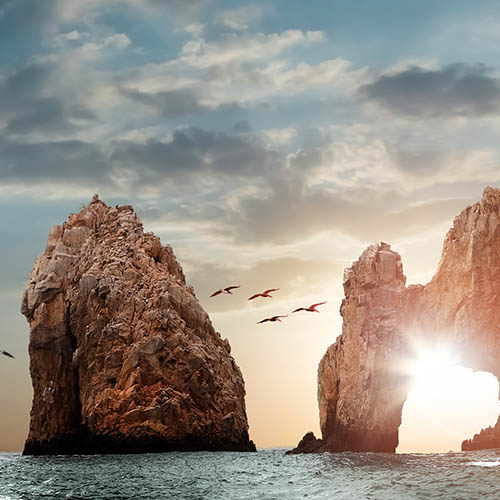 Vanguard Experience – Because you deserve it